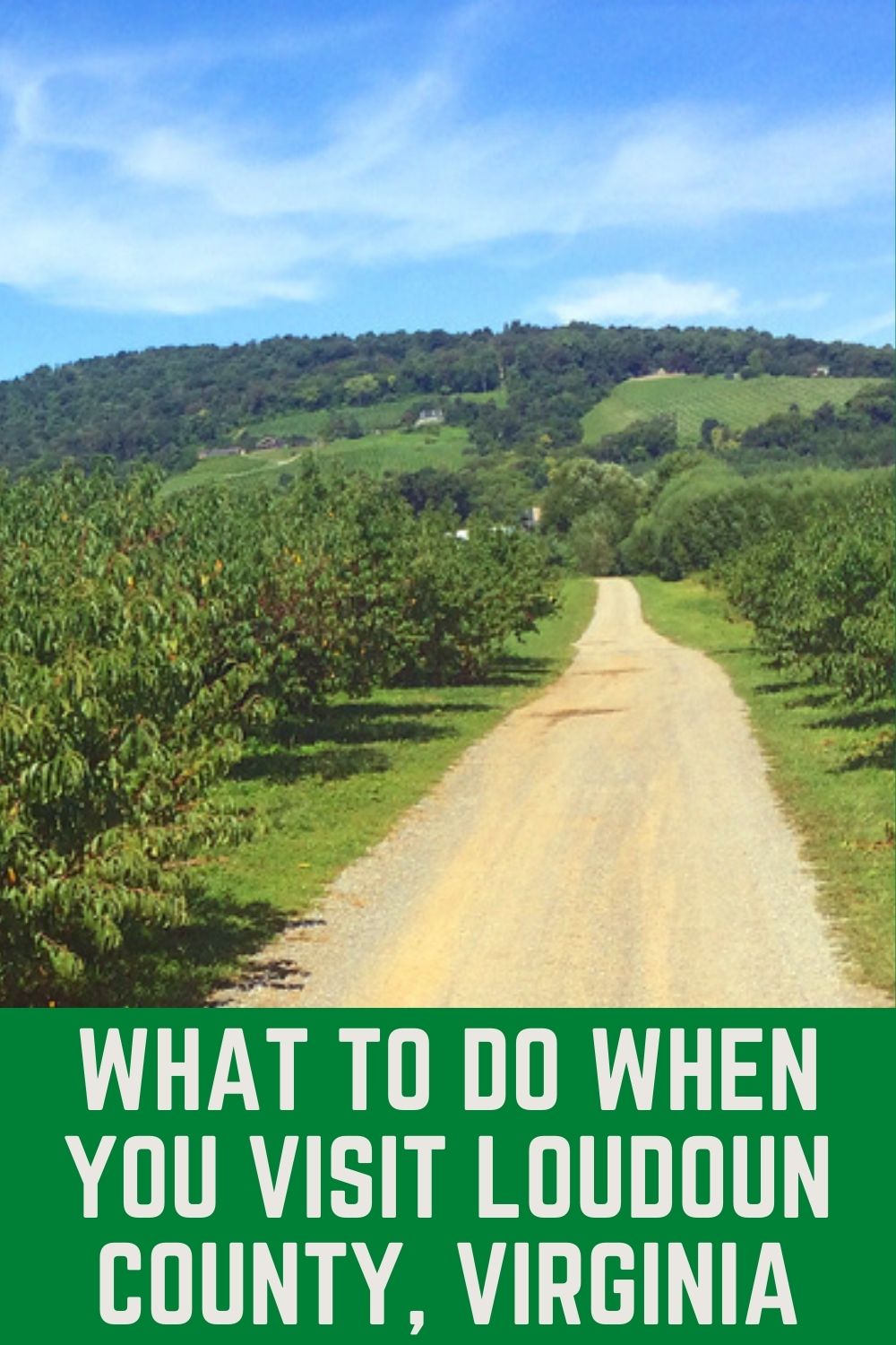 What to Do When You Visit Loudoun County, Virginia - Mocha Man Style